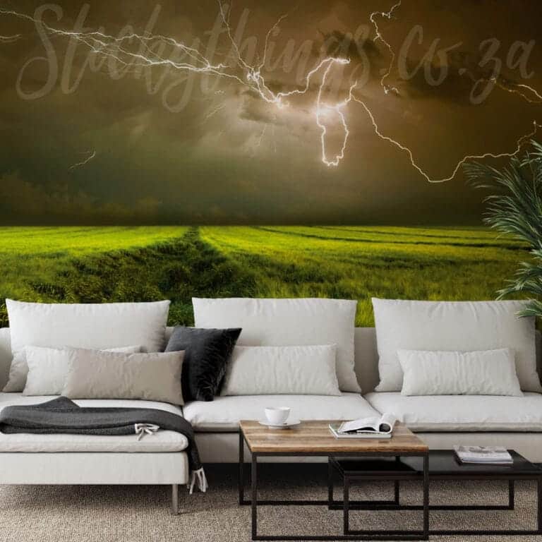 Wall Murals • Sticky Things
